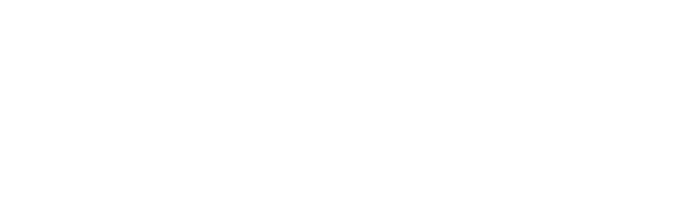 The Bookseller - Milwaukee Public Library Foundation